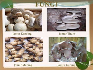 Biologi : Fungi | PPTX