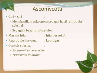 Biologi : Fungi | PPTX