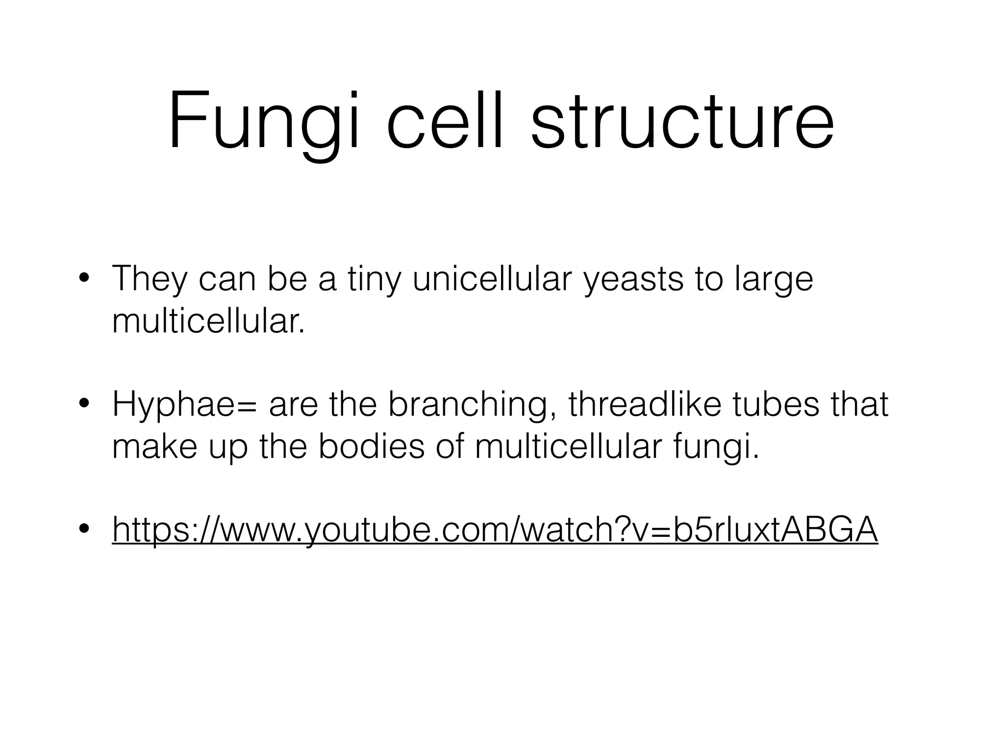 Fungi | PDF
