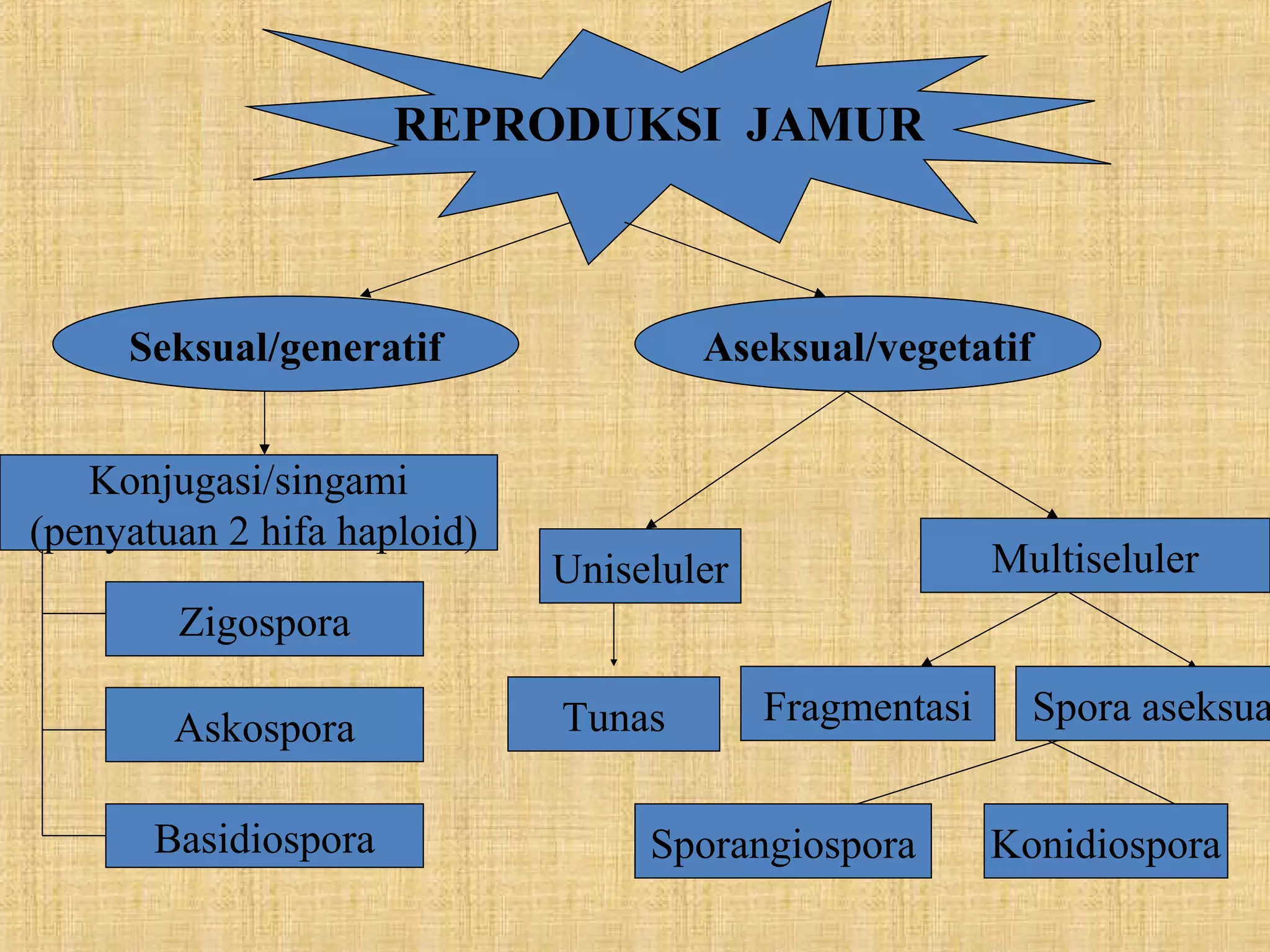 Fungi kelas 10 sma | PPT