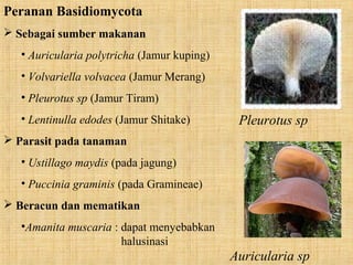 Fungi kelas 10 sma | PPT