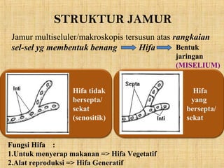 Fungi kelas 10 sma | PPT