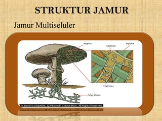 Fungi kelas 10 sma | PPT