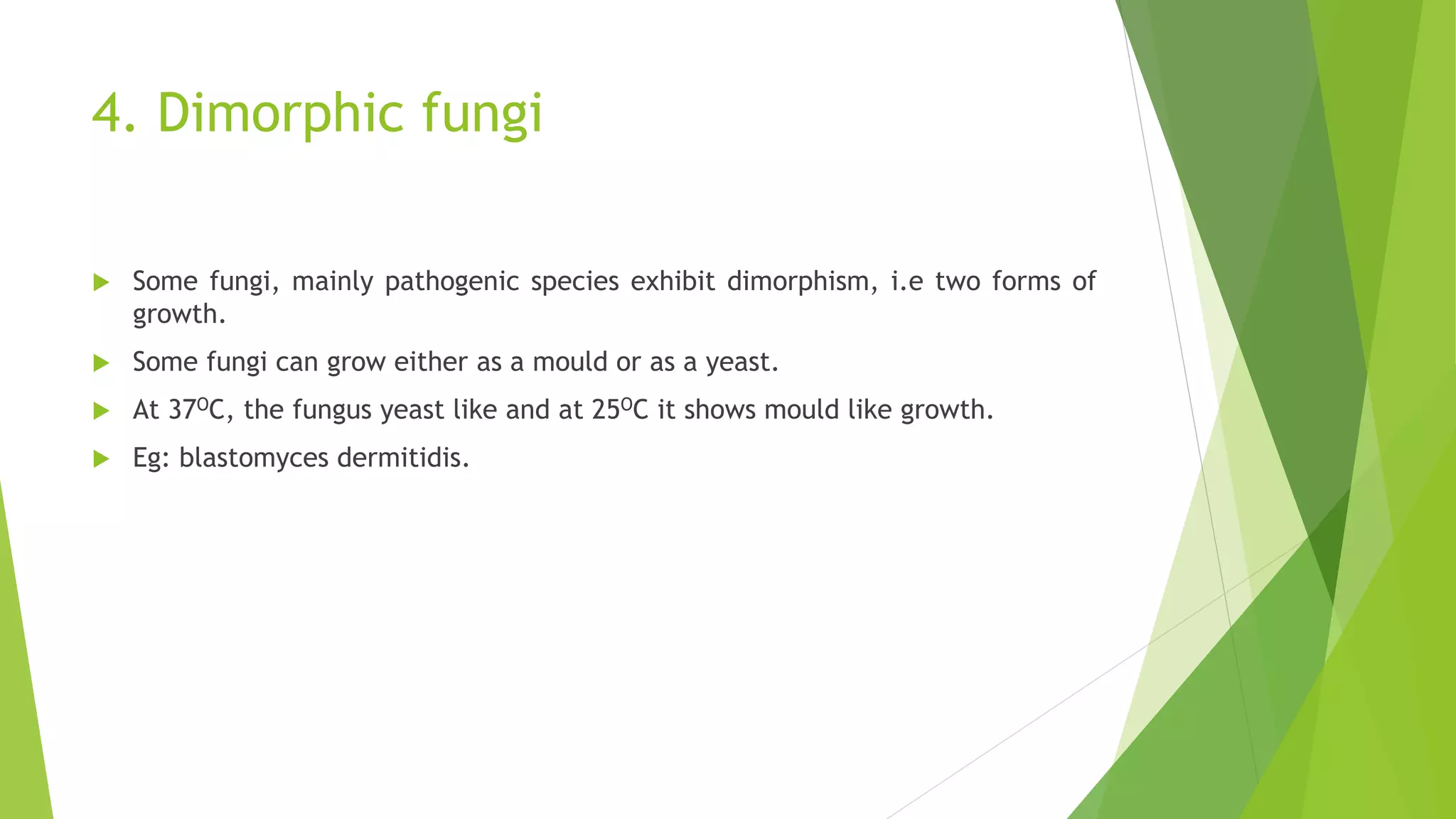 Fungi | PPTX