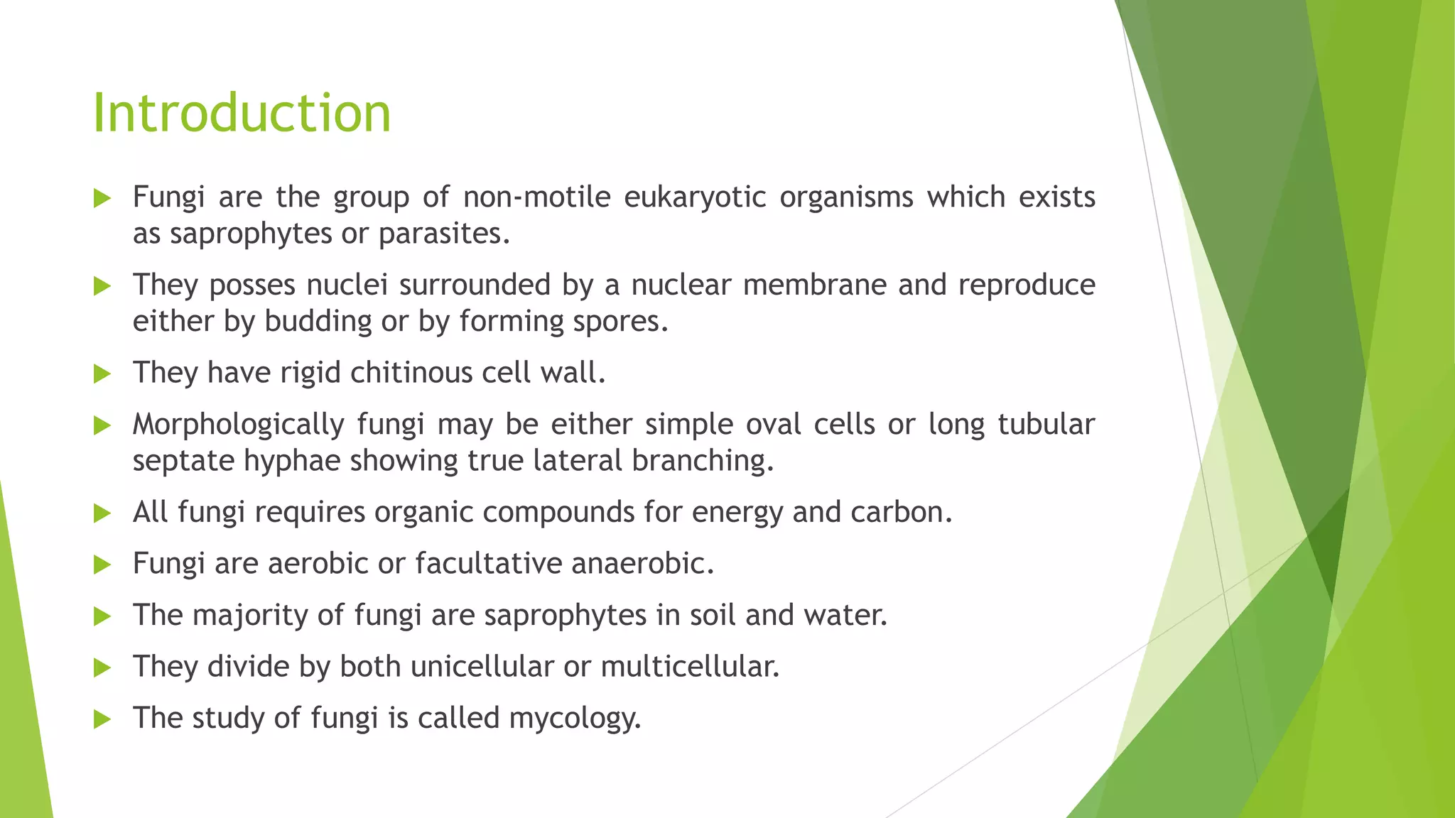 Fungi | PPTX