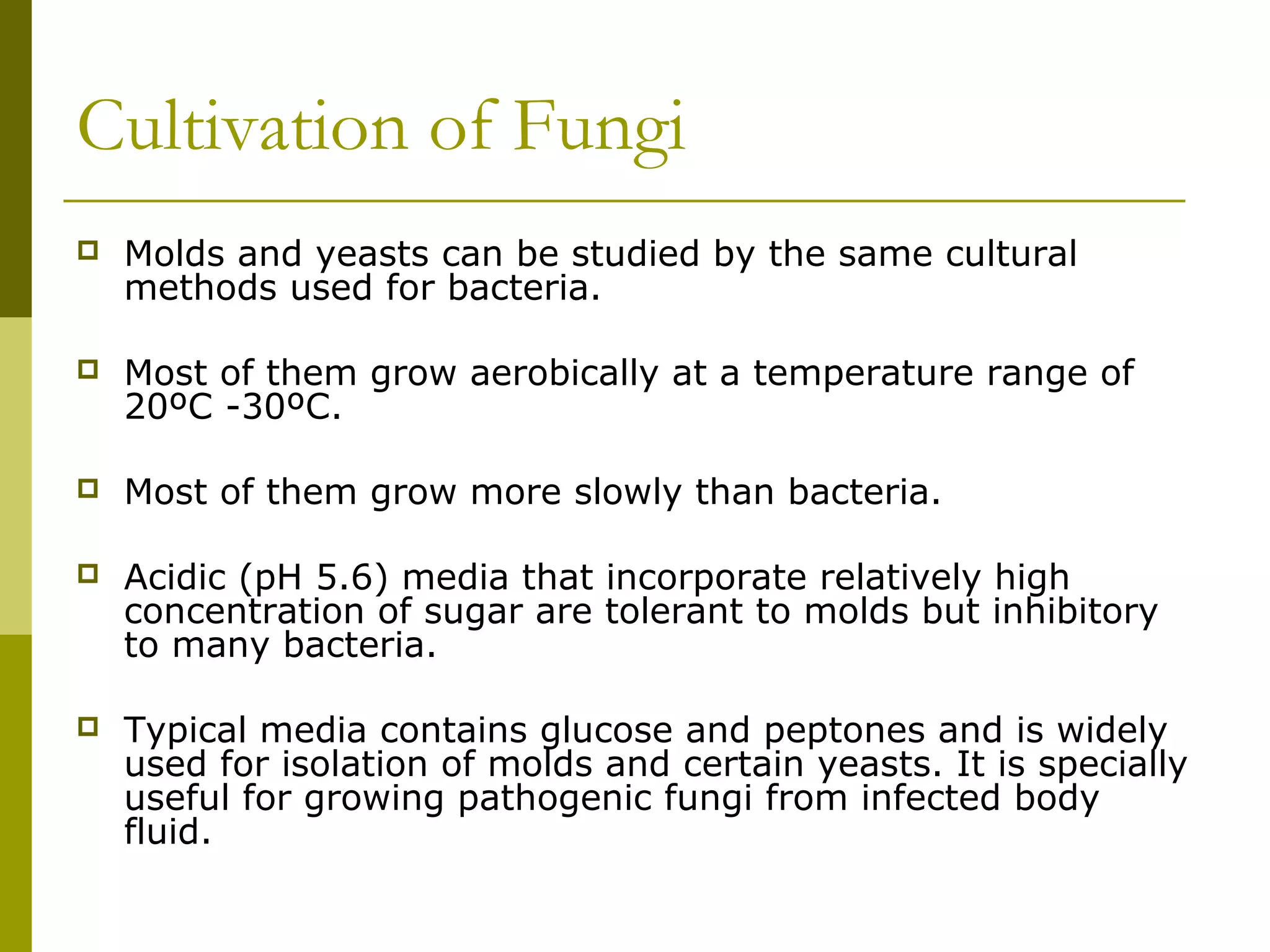 Fungi-Molds and Yeasts | PPT