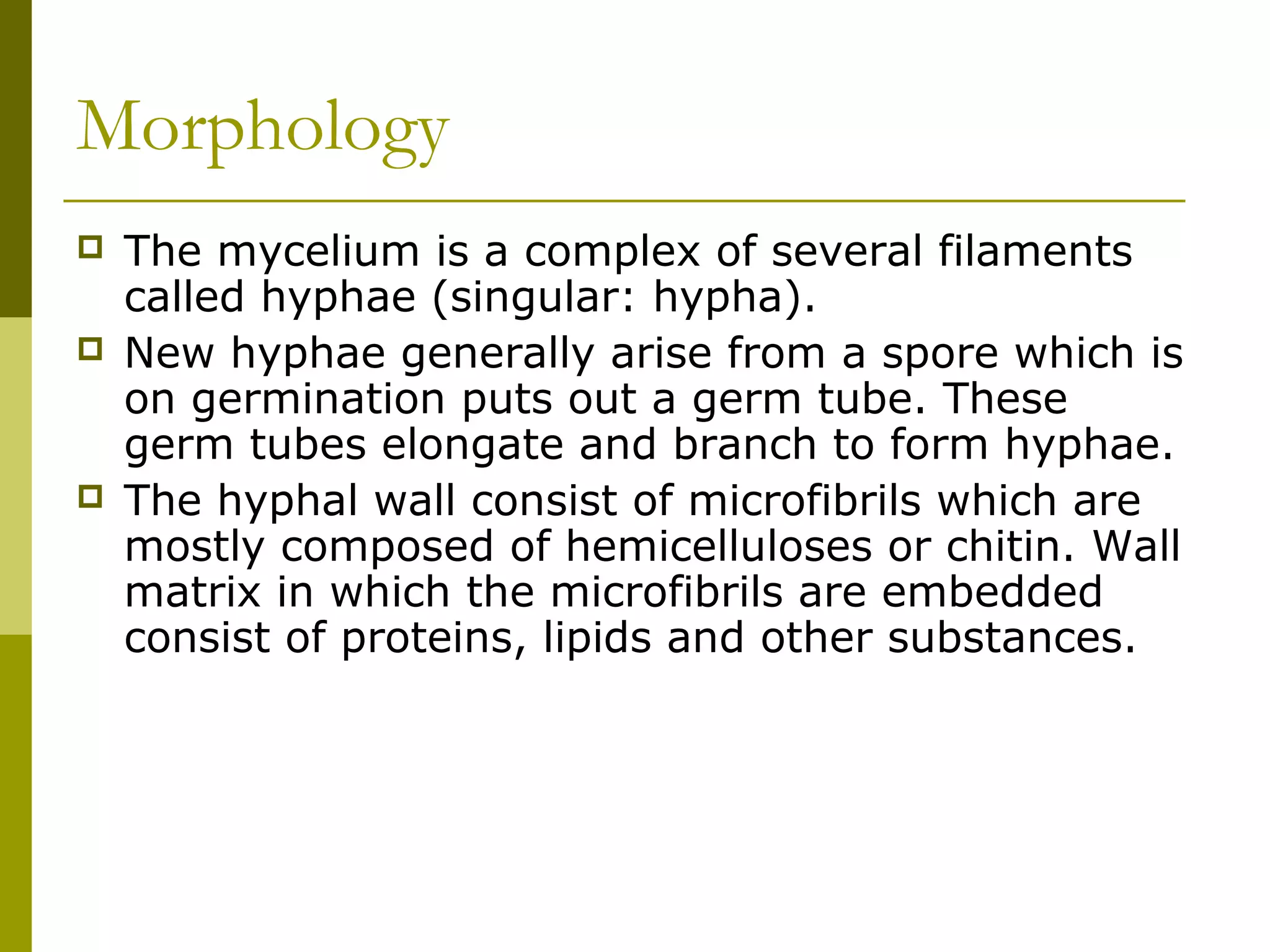 Fungi-Molds and Yeasts | PPT