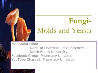 Fungi-Molds and Yeasts | PPT