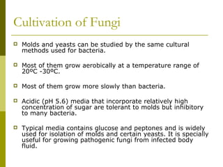 Fungi-Molds and Yeasts | PPT