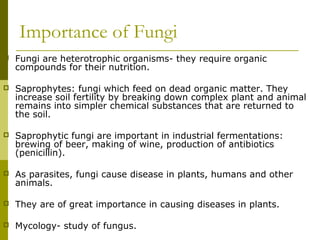 Fungi-Molds and Yeasts | PPT
