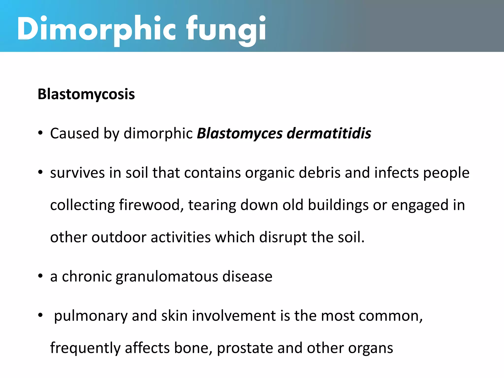 Fungi: Yeast, Filamentous and Dimorphic | PDF