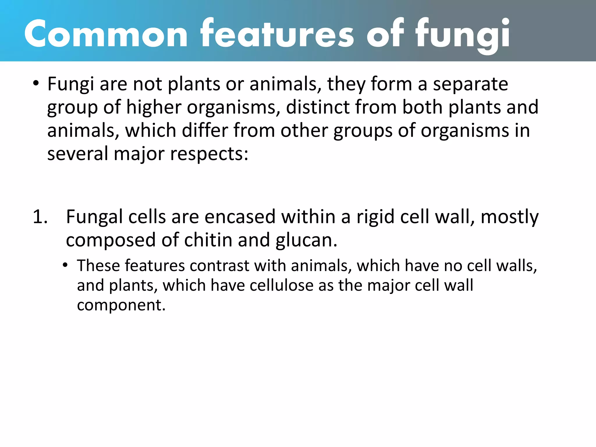 Fungi: Yeast, Filamentous and Dimorphic | PDF