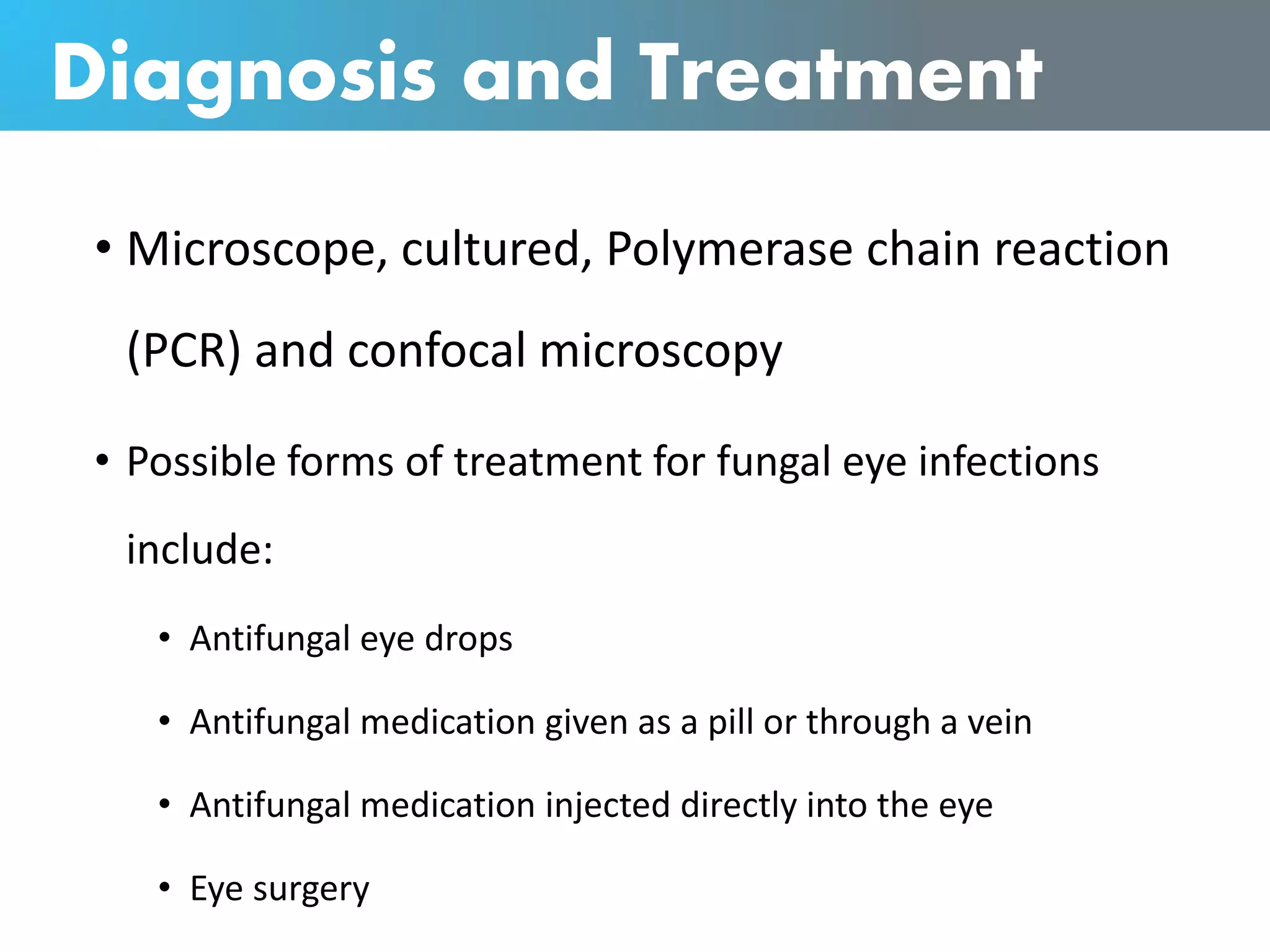 Fungi: Yeast, Filamentous and Dimorphic | PDF