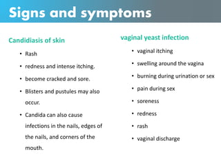 Fungi: Yeast, Filamentous and Dimorphic | PDF