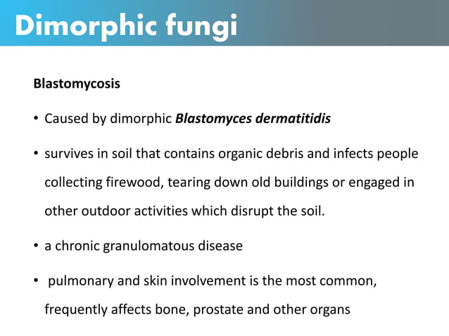 Fungi: Yeast, Filamentous and Dimorphic | PDF