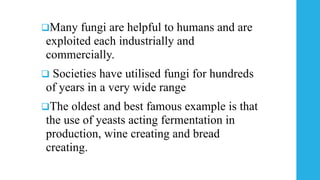 Forest Mycology | PPTX