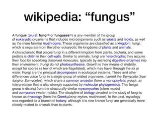 Mushrooms I have known | PDF | Gardening | Home & Garden