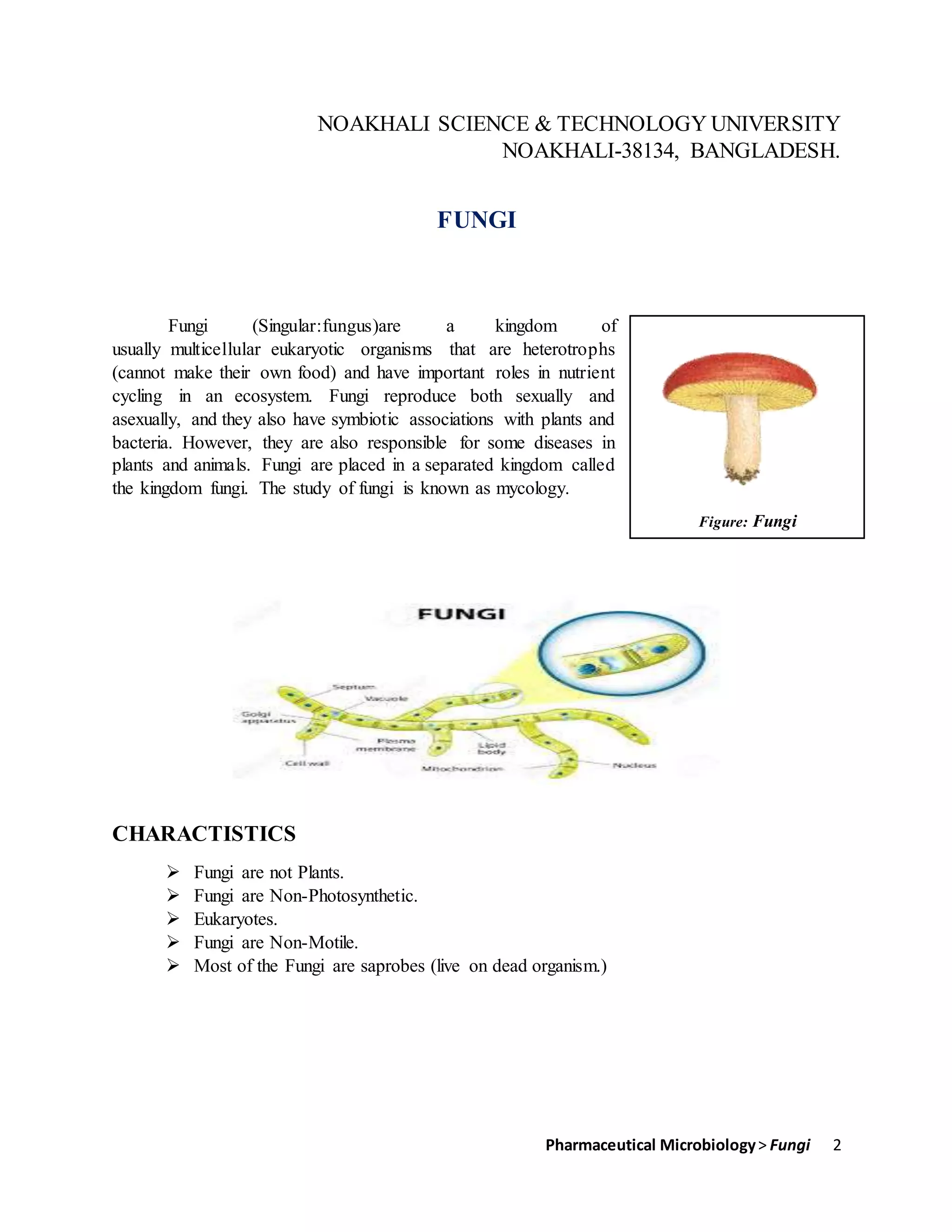 Fungi | DOCX