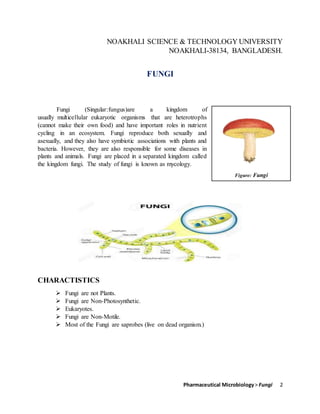 Fungi | DOCX | Infertility | Reproductive Health