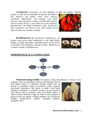 Fungi | DOCX | Infertility | Reproductive Health