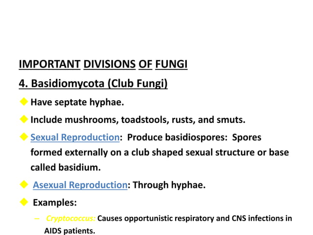 Fungus and its role in ecosystems. Explained for Pharm d students | PPT