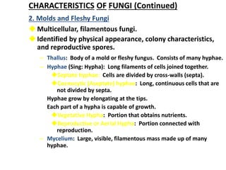 Fungus and its role in ecosystems. Explained for Pharm d students | PPT