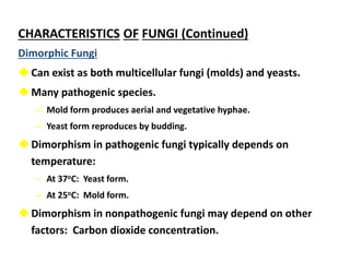 Fungus and its role in ecosystems. Explained for Pharm d students | PPT