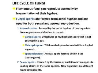 Fungus and its role in ecosystems. Explained for Pharm d students | PPT