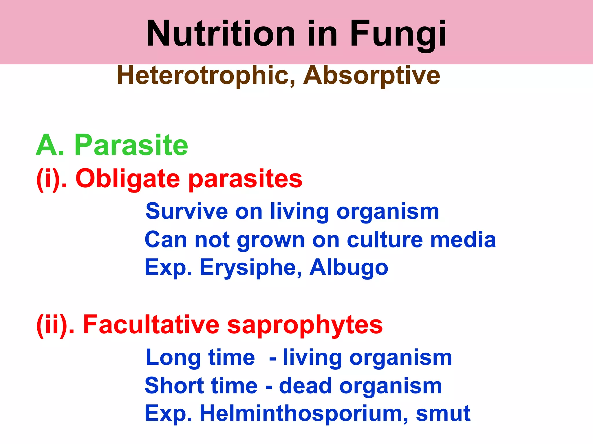 Definition, Characteristics, Nutrition, Special Structures ...
