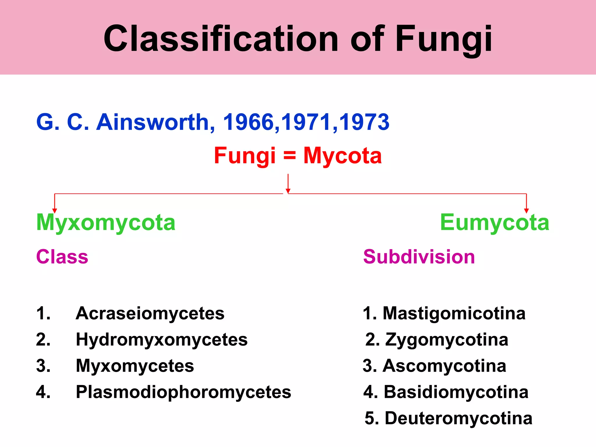 Definition, Characteristics, Nutrition, Special Structures ...