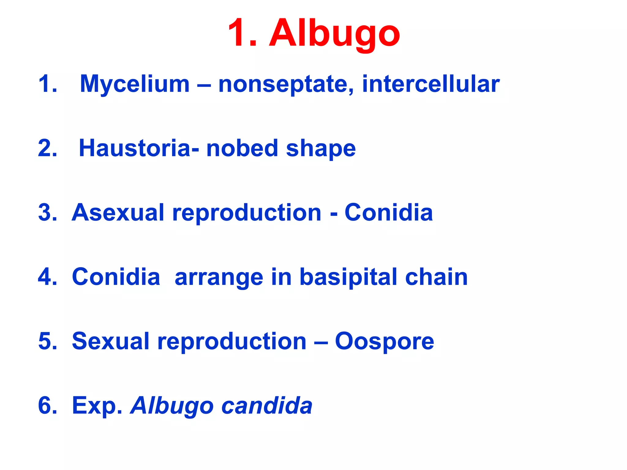 Definition, Characteristics, Nutrition, Special Structures ...