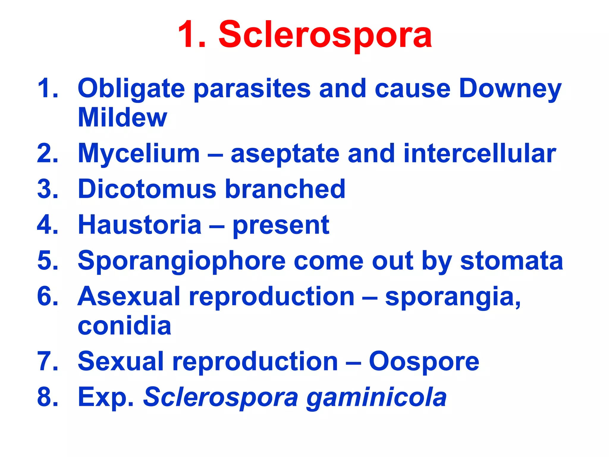 Definition, Characteristics, Nutrition, Special Structures ...