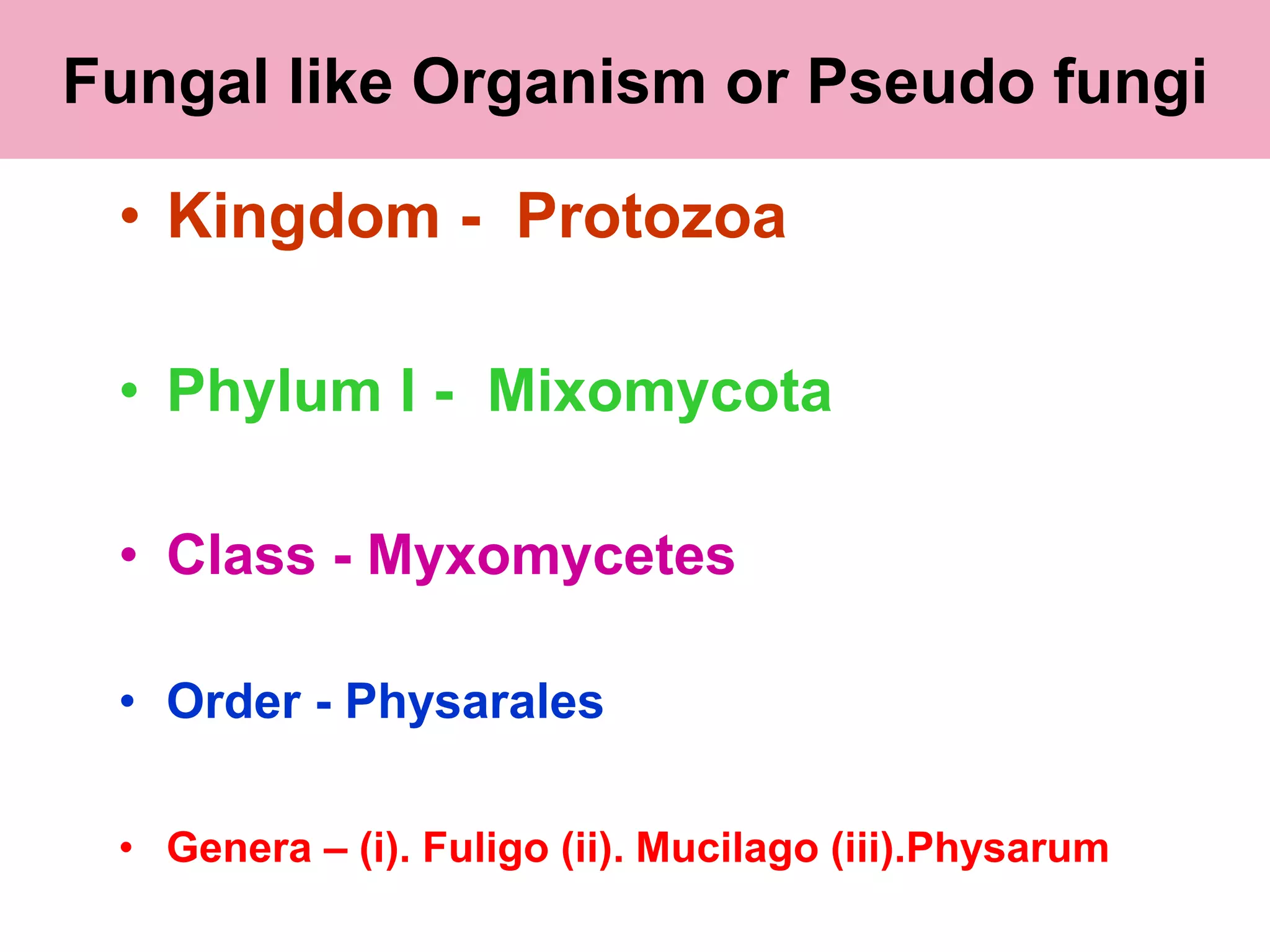 Definition, Characteristics, Nutrition, Special Structures ...