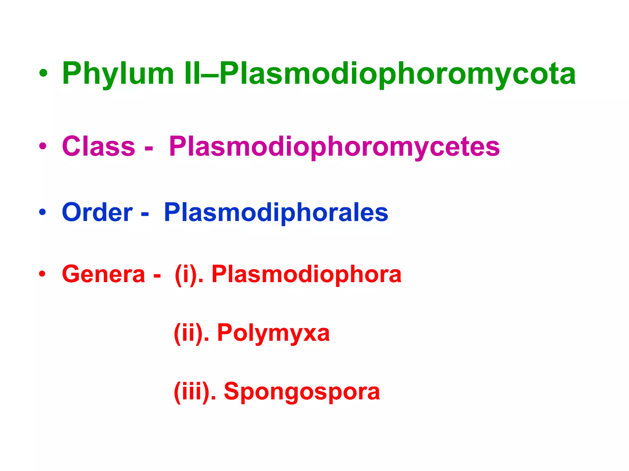 Definition, Characteristics, Nutrition, Special Structures ...