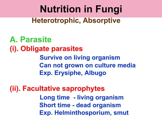 Definition, Characteristics, Nutrition, Special Structures ...