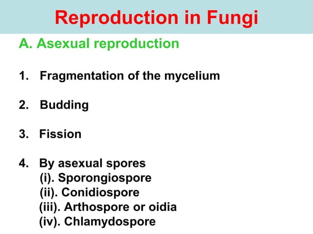 Definition, Characteristics, Nutrition, Special Structures ...