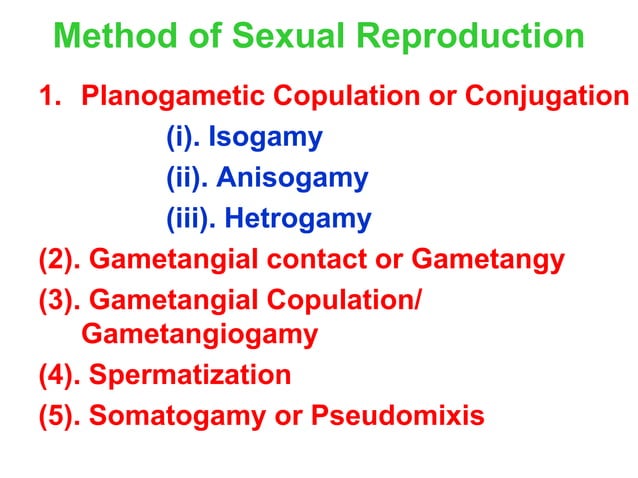 Definition, Characteristics, Nutrition, Special Structures ...