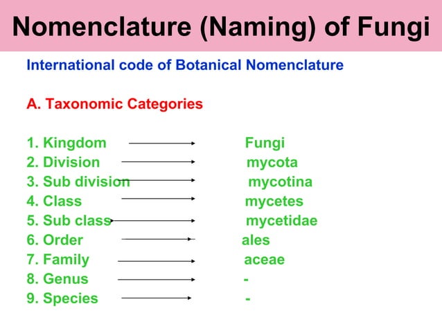 Definition, Characteristics, Nutrition, Special Structures ...