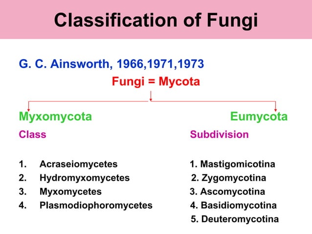 Definition, Characteristics, Nutrition, Special Structures ...