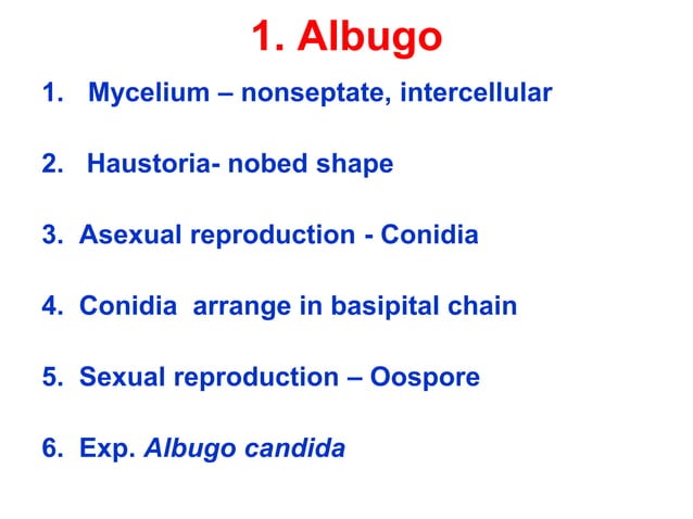 Definition, Characteristics, Nutrition, Special Structures ...