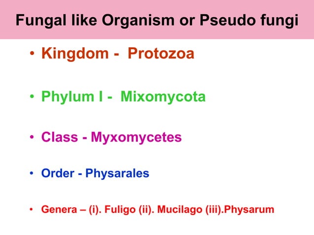Definition, Characteristics, Nutrition, Special Structures ...