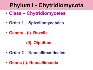 Definition, Characteristics, Nutrition, Special Structures ...
