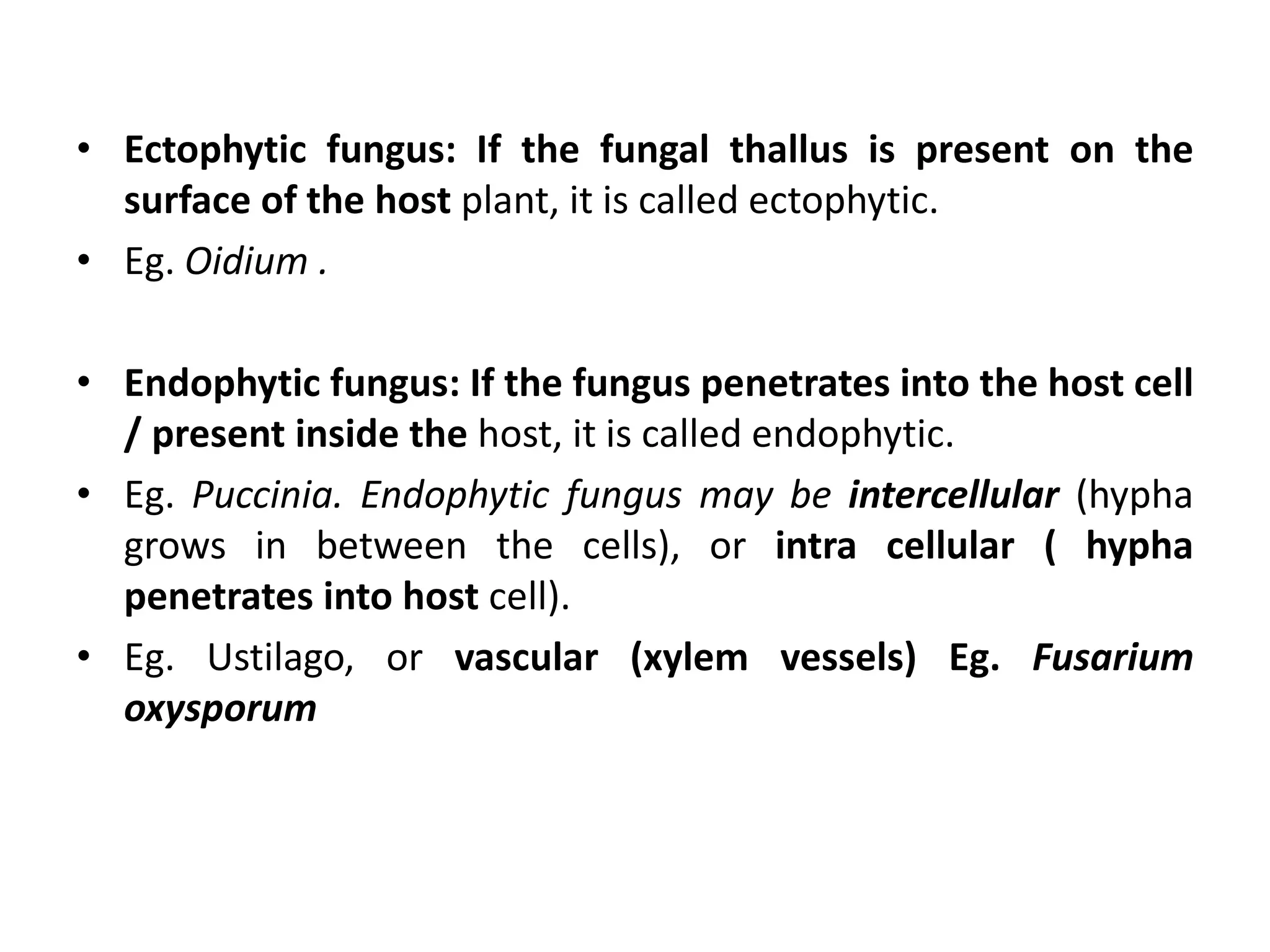 Fungi | PPTX