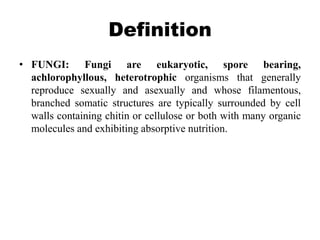 Fungi Definition