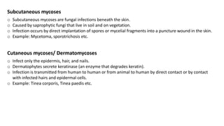 Fungi - An Introduction | PPTX