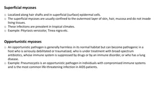 Fungi - An Introduction | PPTX