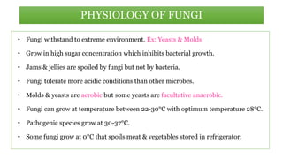 Fungi | PPTX