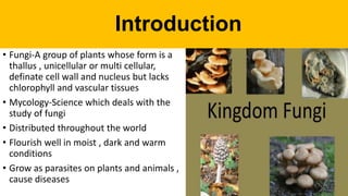 Fungi | PPTX