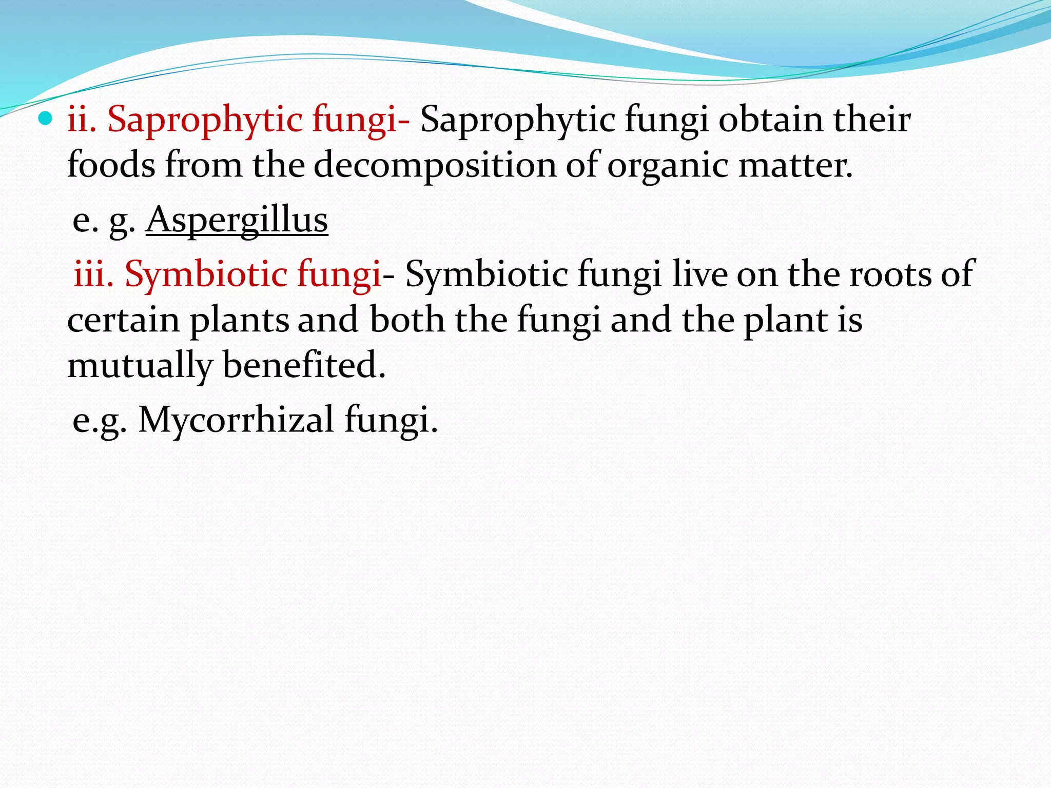 Fungi | PPTX