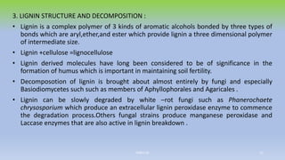 Fungi | PPTX